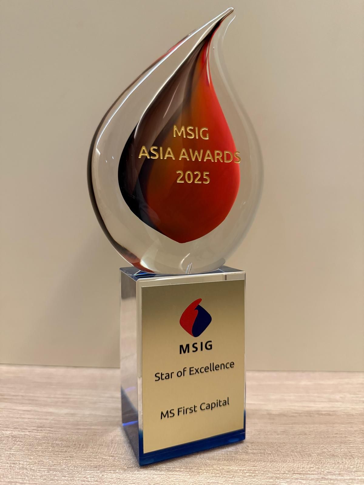 MS First Capital Insurance Limited - MSFC